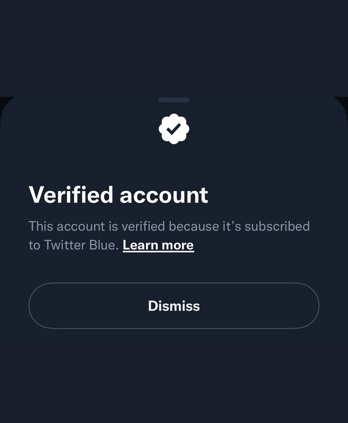 Twitter launches paid for blue ticks – looking at the potential impact ...